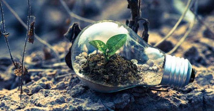 Simple and Easy Ways To Look After The Environment | Familyfriendlyhq.ie