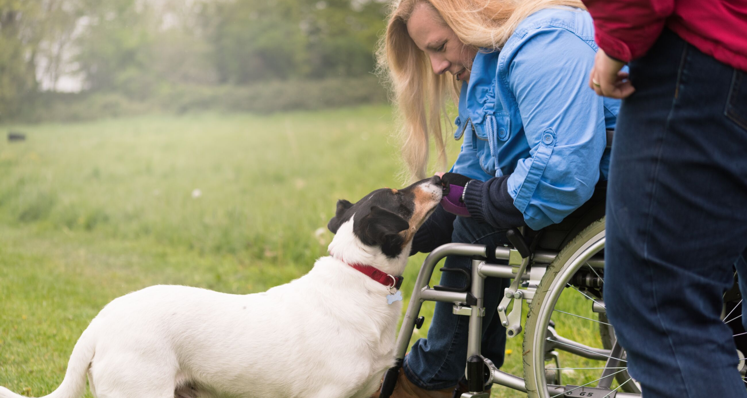 wheelchair-friendly-days-out-in-ireland-as-recommended-by-parents